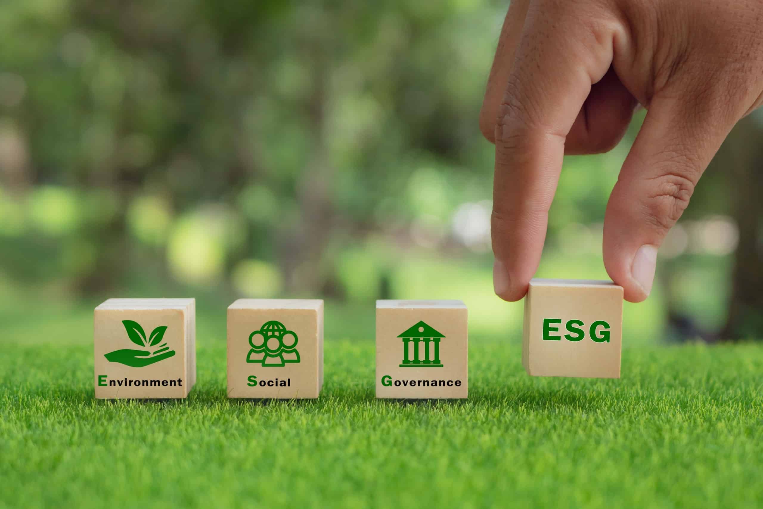 The Importance of Implementing an ESG Roadmap For Your Company